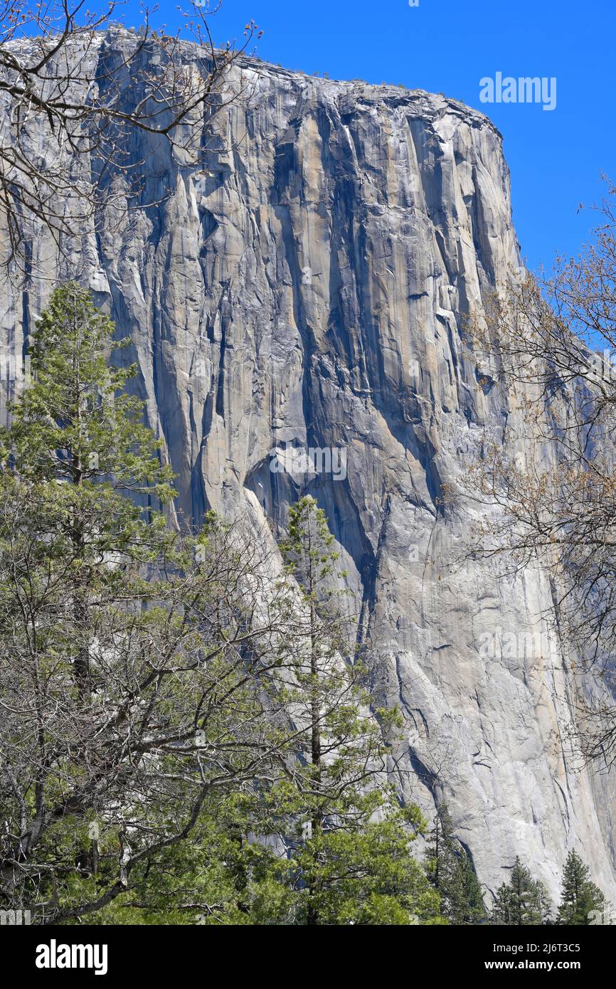 Famous El Capitan in front of the iconic Yosemite Valley (US National ...
