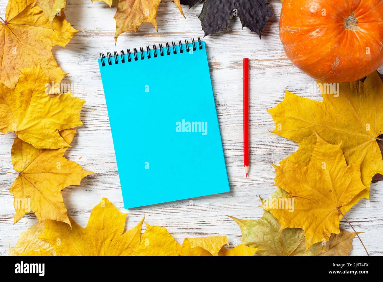 Spiral notepad with pencil and ripe pumpkins Stock Photo - Alamy