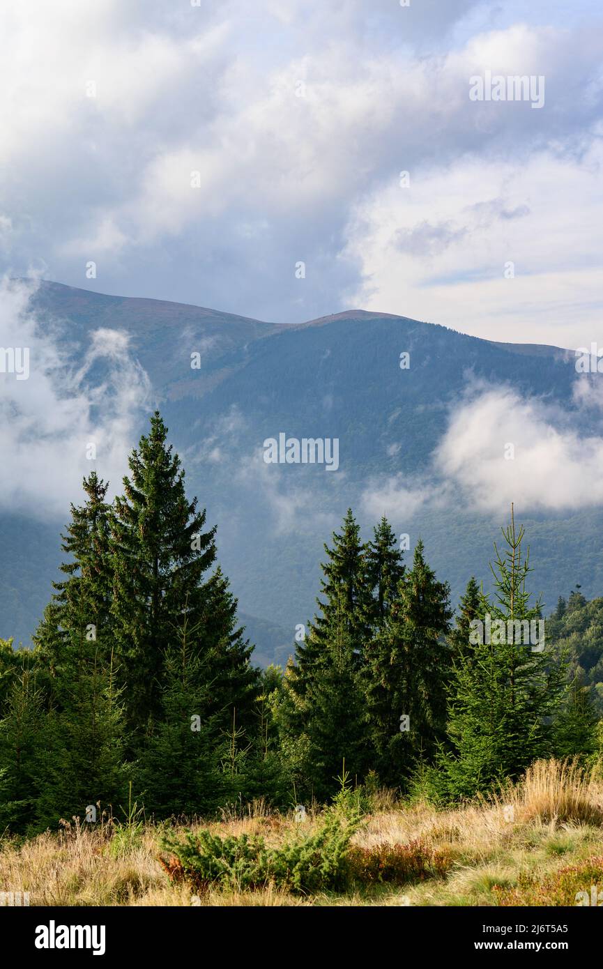 Landscapes of the Ukrainian Carpathians, a trip to the mountain ranges ...