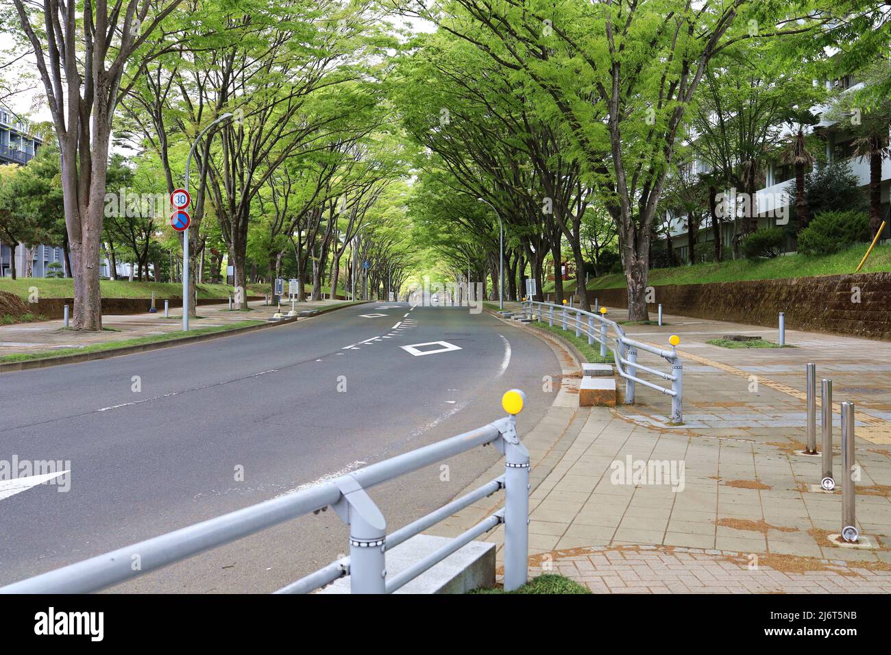 Sendai City, Miyagi Prefecture Japan, May 2022.Around the Aobayama area ...