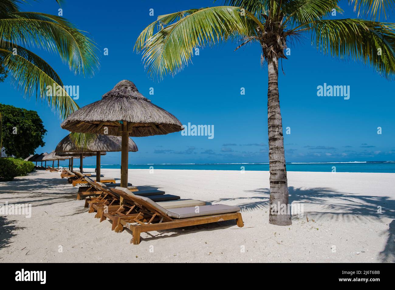 Le Morne beach Mauritius Tropical beach with palm trees and white sand ...