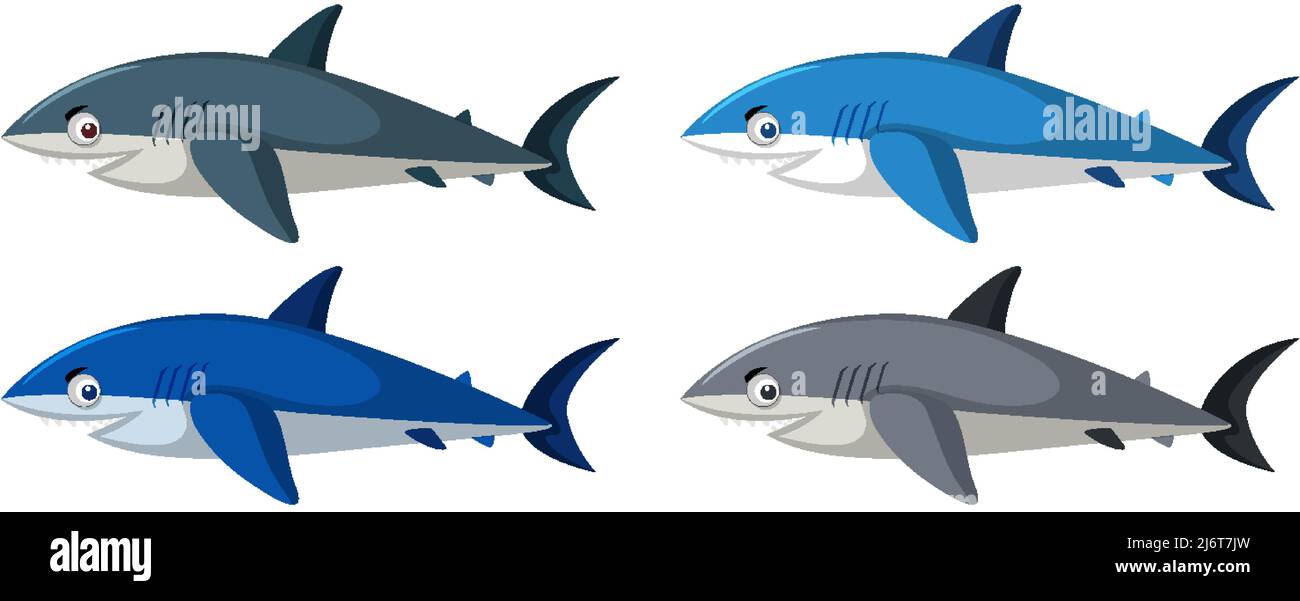Cute shark cartoon character isolated illustration Stock Vector Image ...