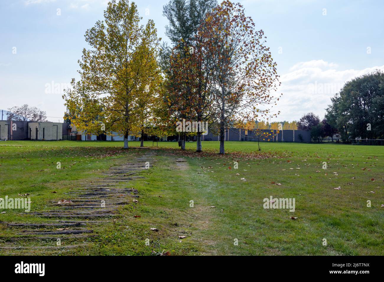 Trees with fallen leaves in an autumn scenery at the Neolithic lakeside ...