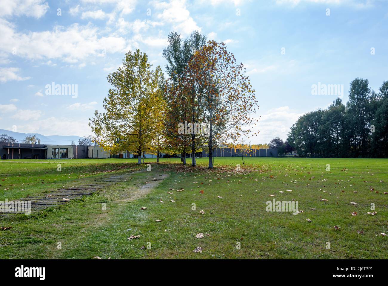 Trees with fallen leaves in an autumn scenery at the Neolithic lakeside ...
