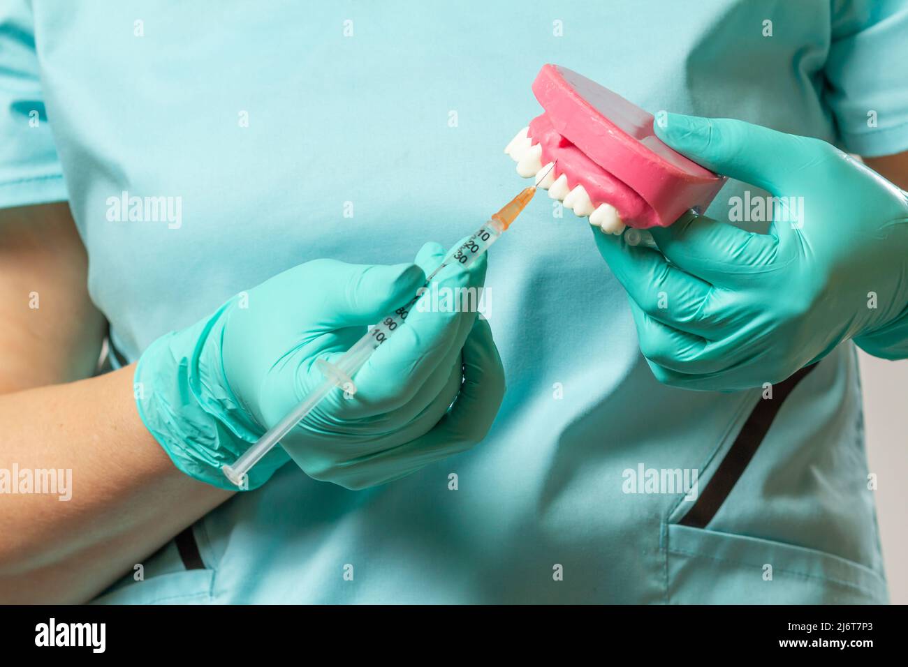 Dentist's hands holding a layout of the human jaw and a syringe with ...