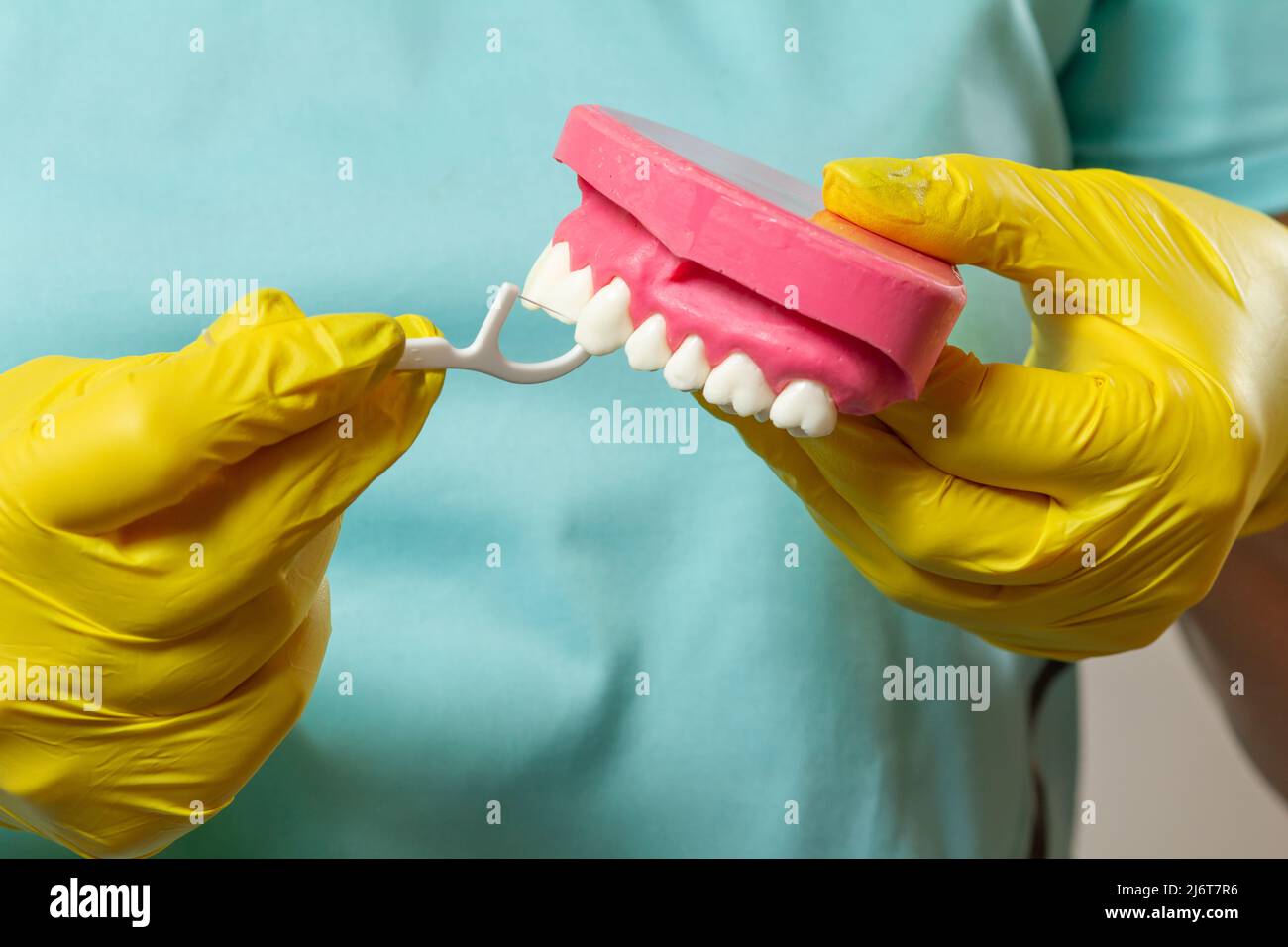 Close-up view of dentist's hands with a human jaw layout and a floss ...