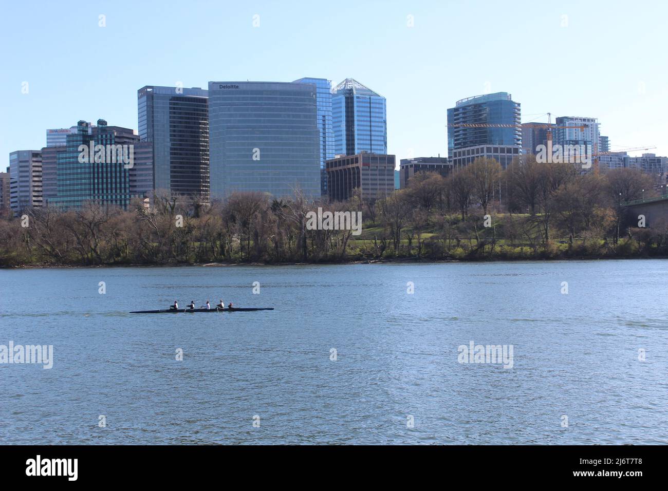 Rosslyn Skyline Georgetown Waterfront Park Crew Team Rowing Stock Photo ...