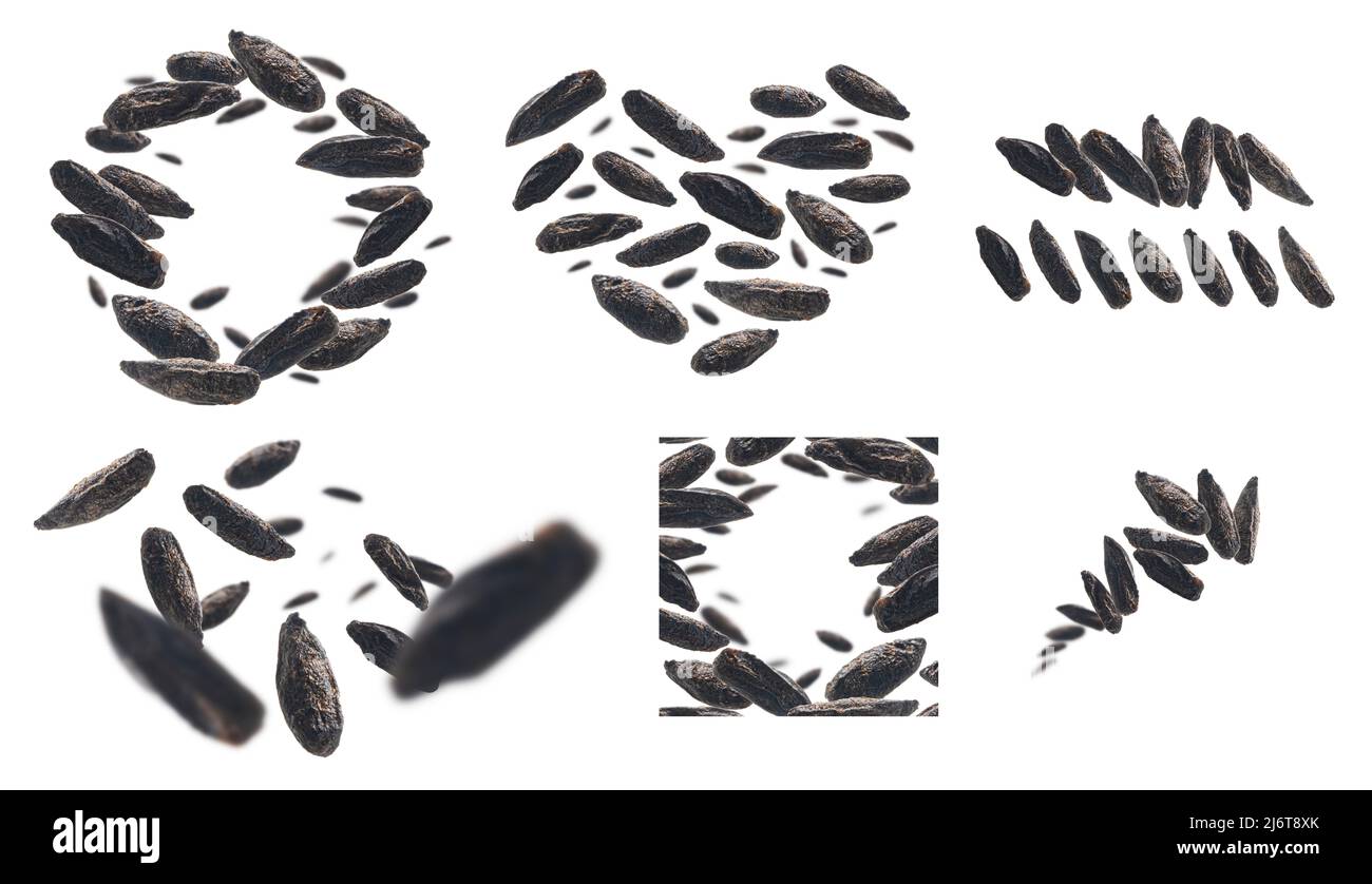 A set of photos. Roasted rye malt grains levitate on a white background ...