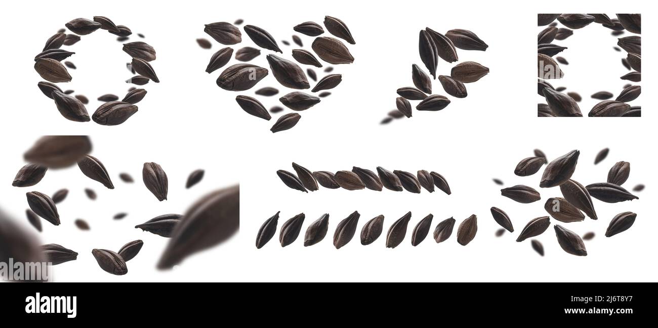 A set of photos. Roasted rye malt grains levitate on a white background ...