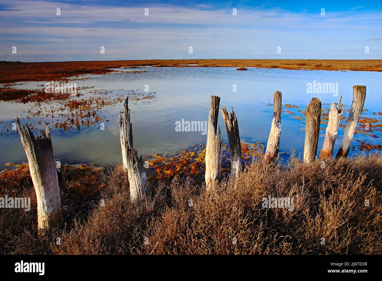 March landscape with old broken fence, summer day with blue water and ...