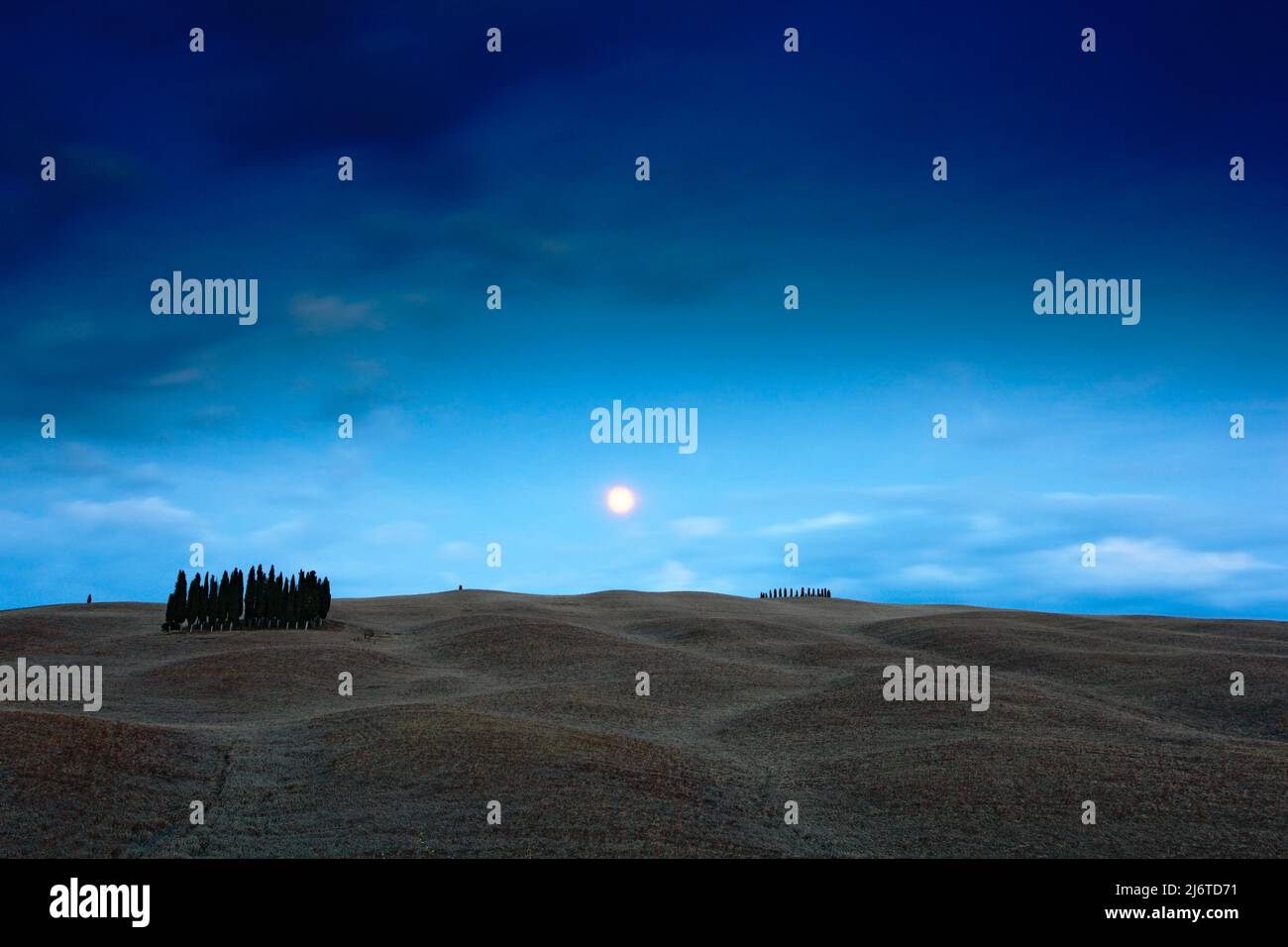 Tuscany night landscape, moon with tree on the fiedl, dark blue sky ...