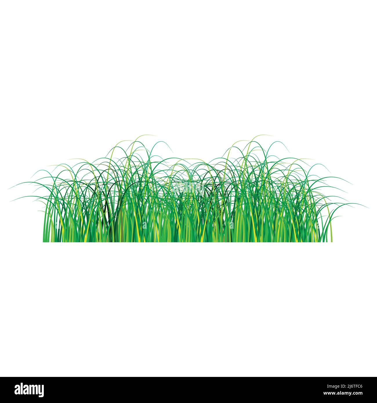 Isolated green grass side view Stock Vector Image & Art - Alamy