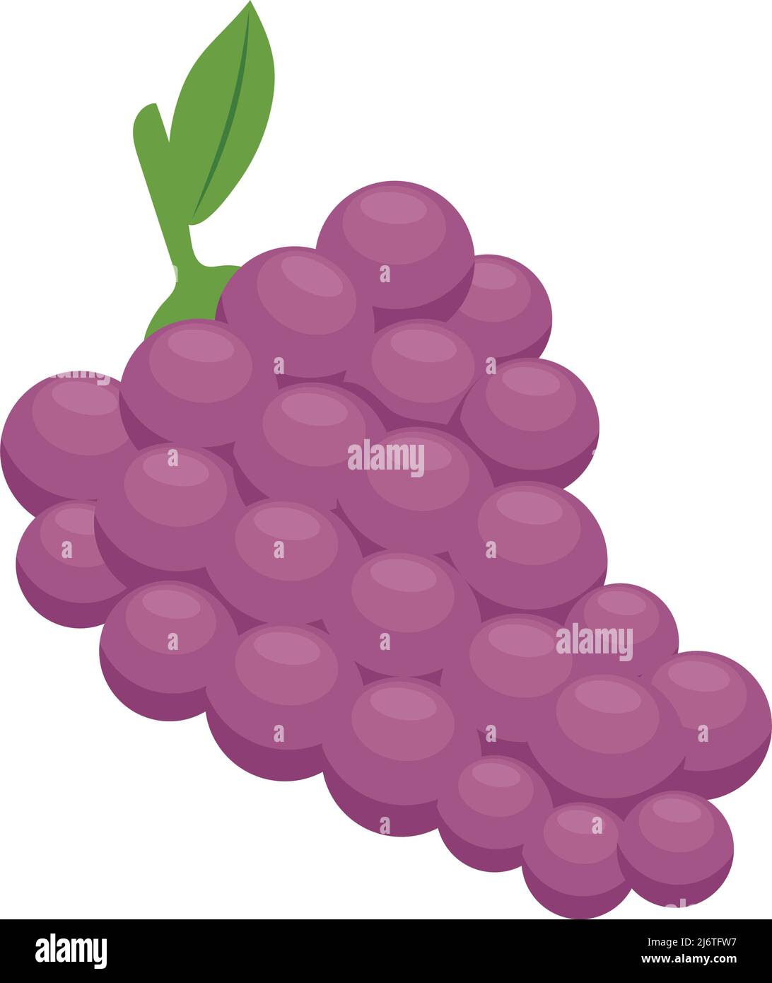 fresh grapes fruits Stock Vector Image & Art - Alamy