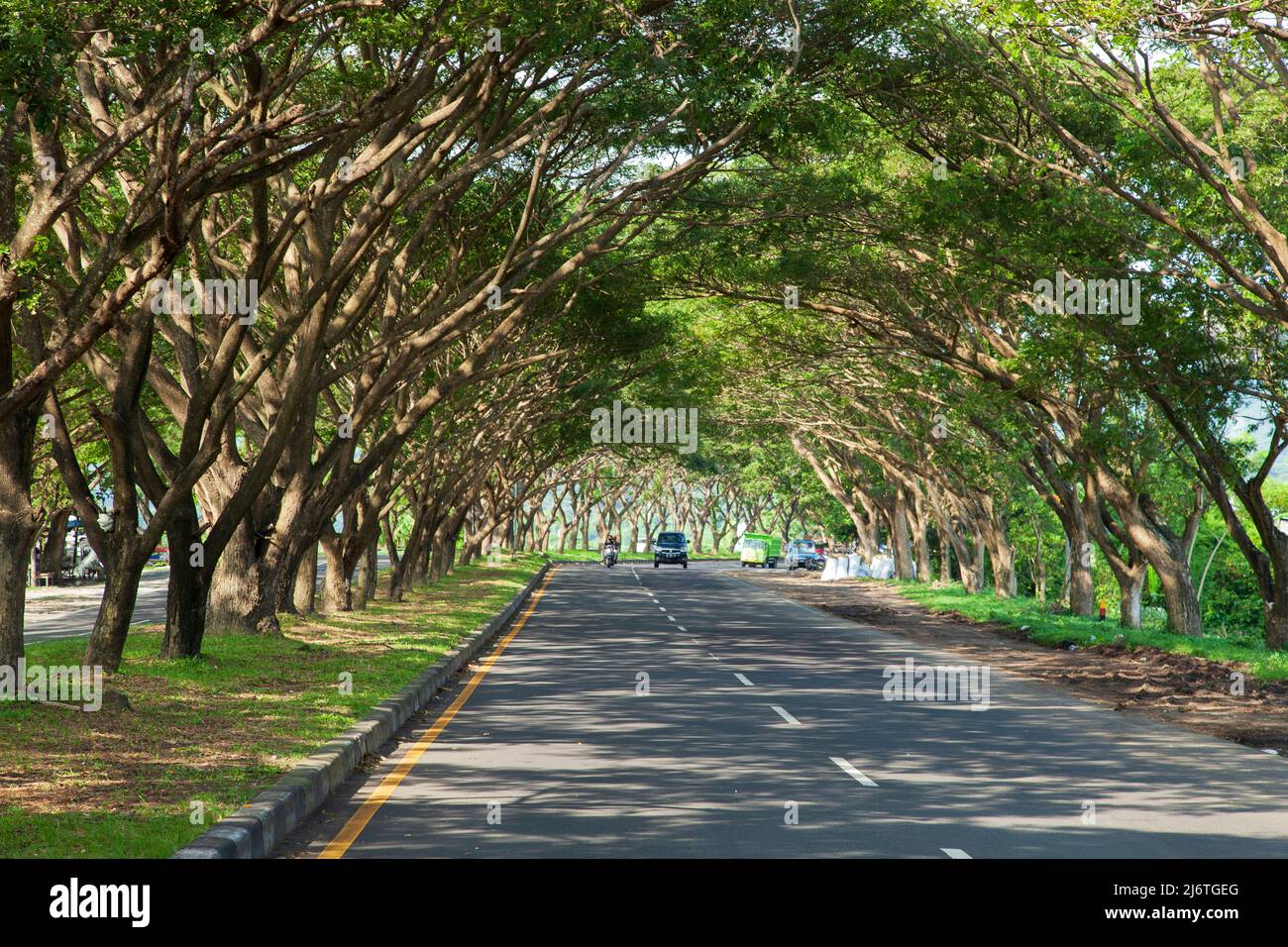 Beautiful natural tunnel of trees at Gunaksa, Dawan in east Bali ...