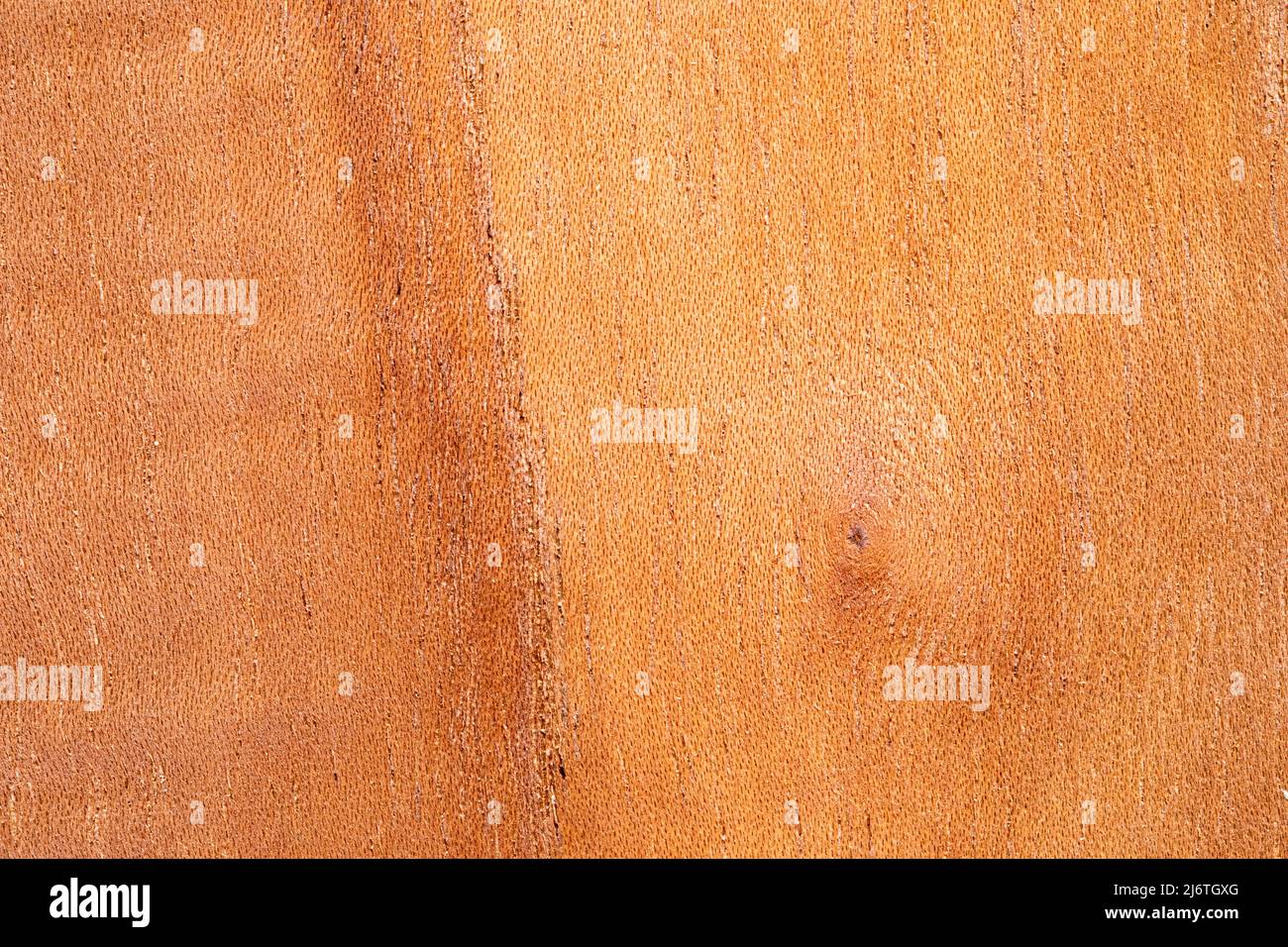 Macro Close up of wooden texture of Cedar wood cigar box surface Stock ...
