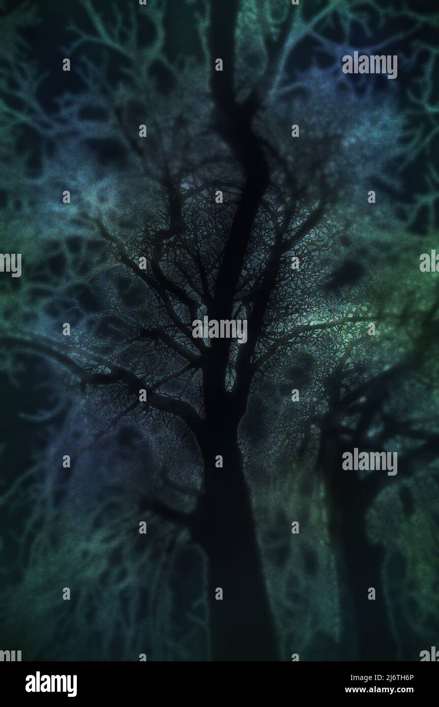 abstract negative image of a tree Stock Photo - Alamy