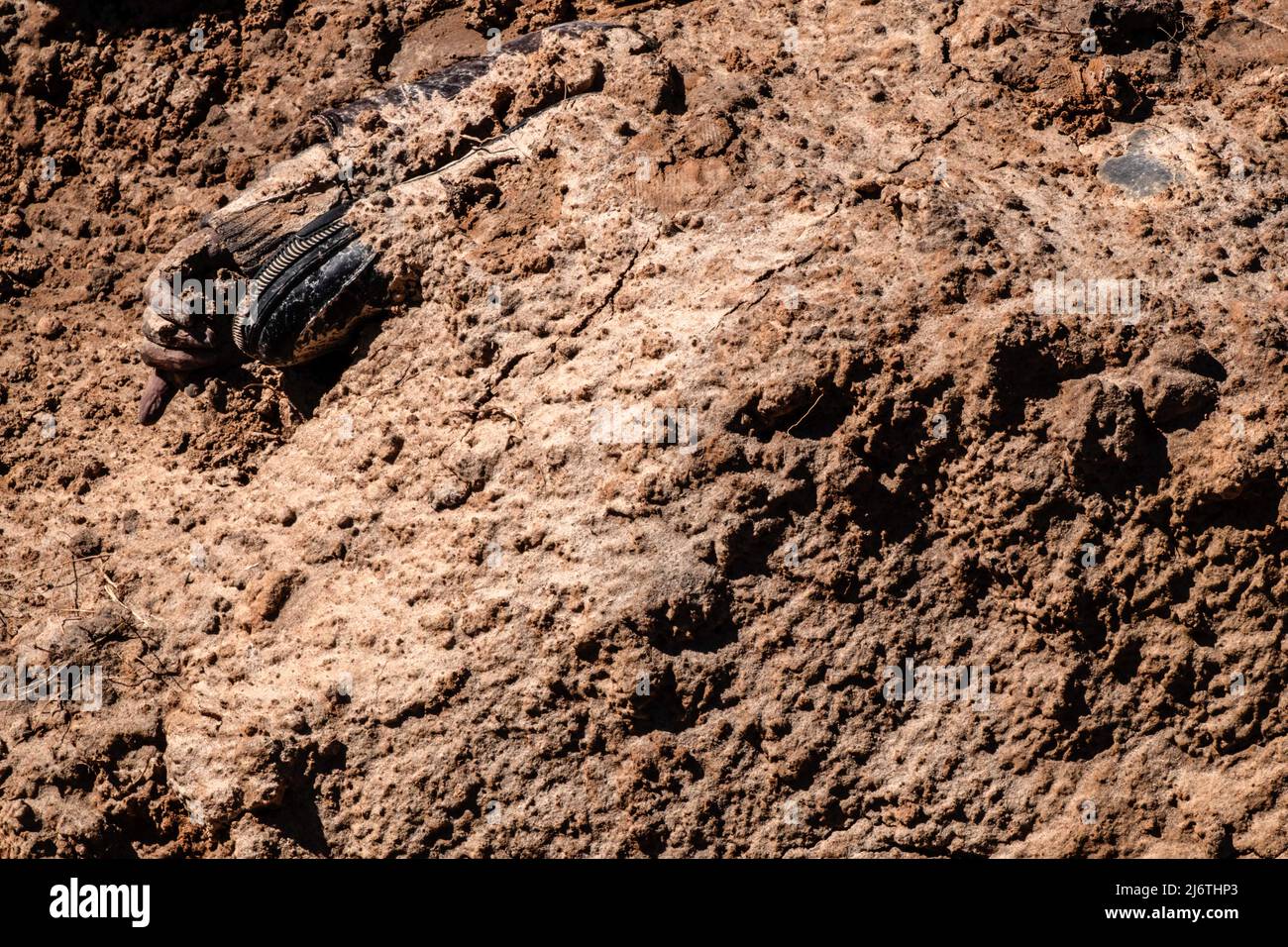 Bucha mass grave church hi-res stock photography and images - Alamy
