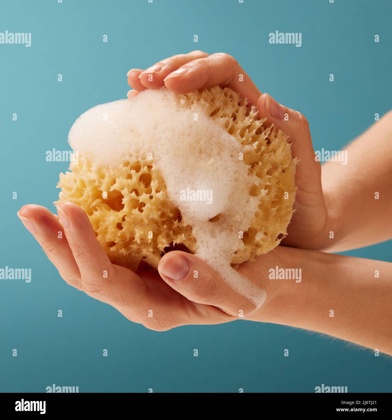 Hand of anonymous person holding foamy sponge on blue background Stock ...