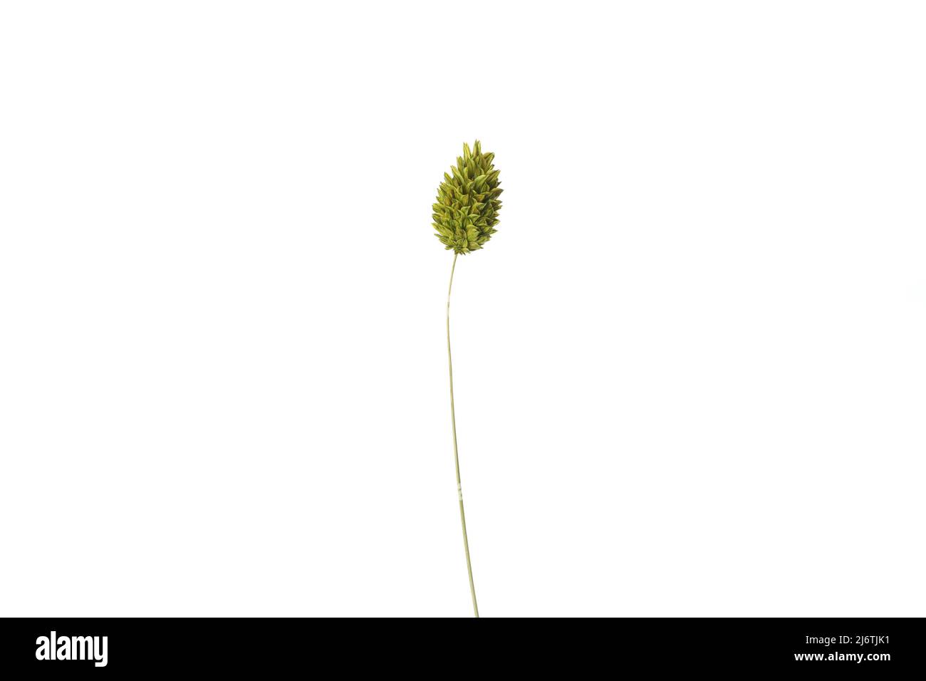 Autumn comfort warm concept Cut Out Stock Images & Pictures - Alamy