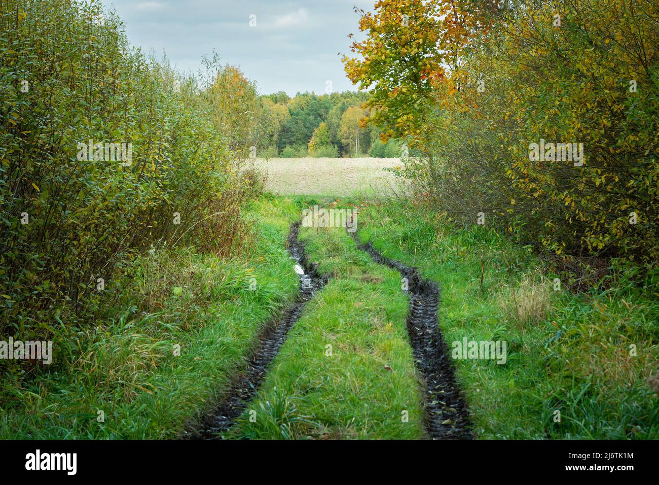 Rural road access hi-res stock photography and images - Alamy