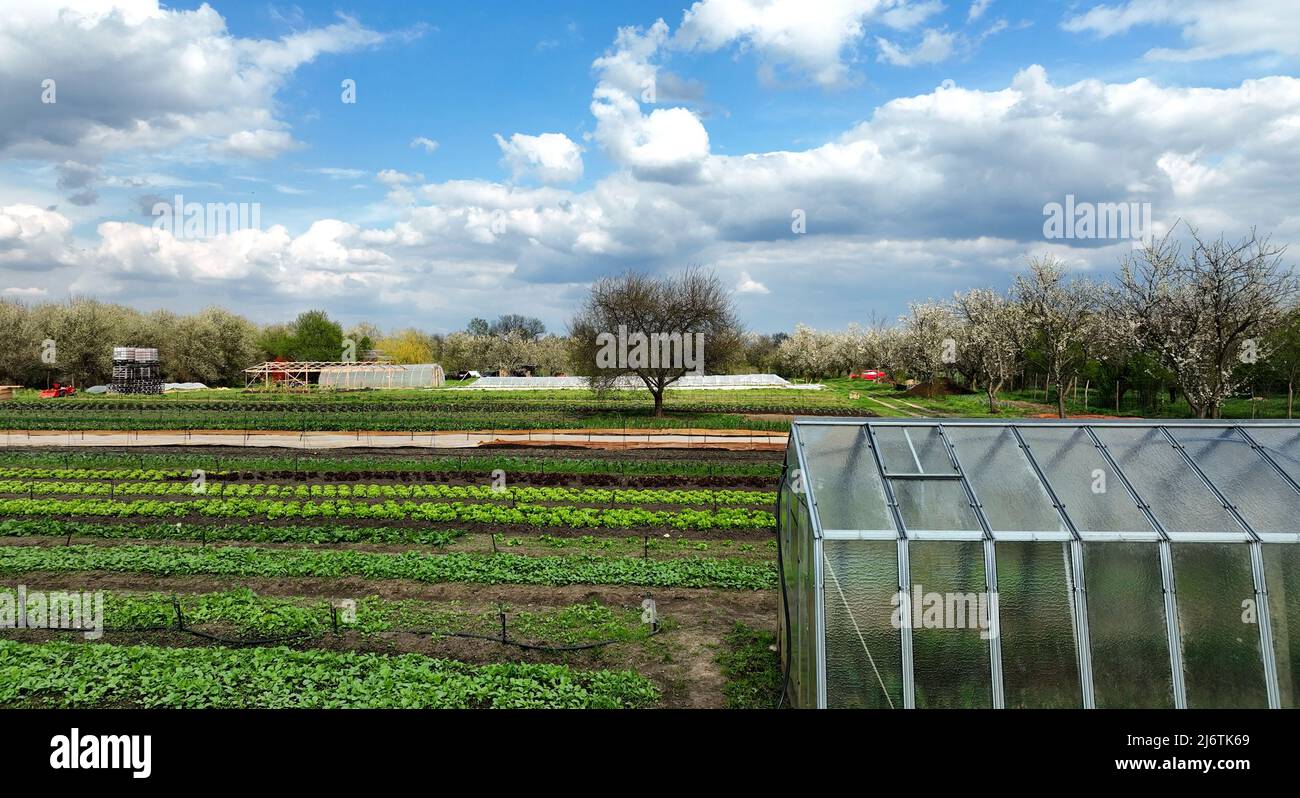 Bio farm farming agricultural farm garden farmer fruit tree drone ...