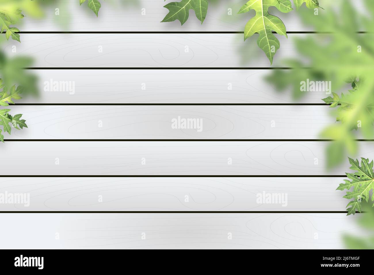 A green leaves framing on wooden floors Stock Photo - Alamy