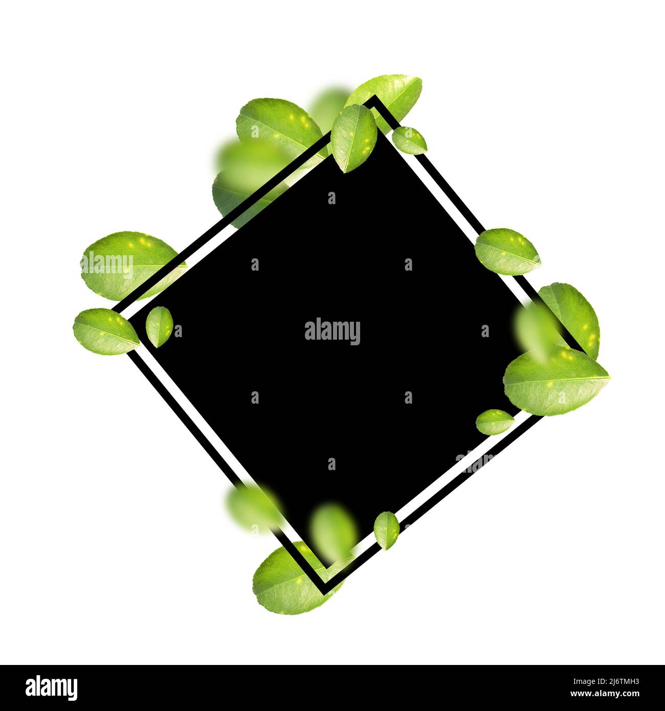 A beautiful square frame with green leaves. natural concept Stock Photo ...