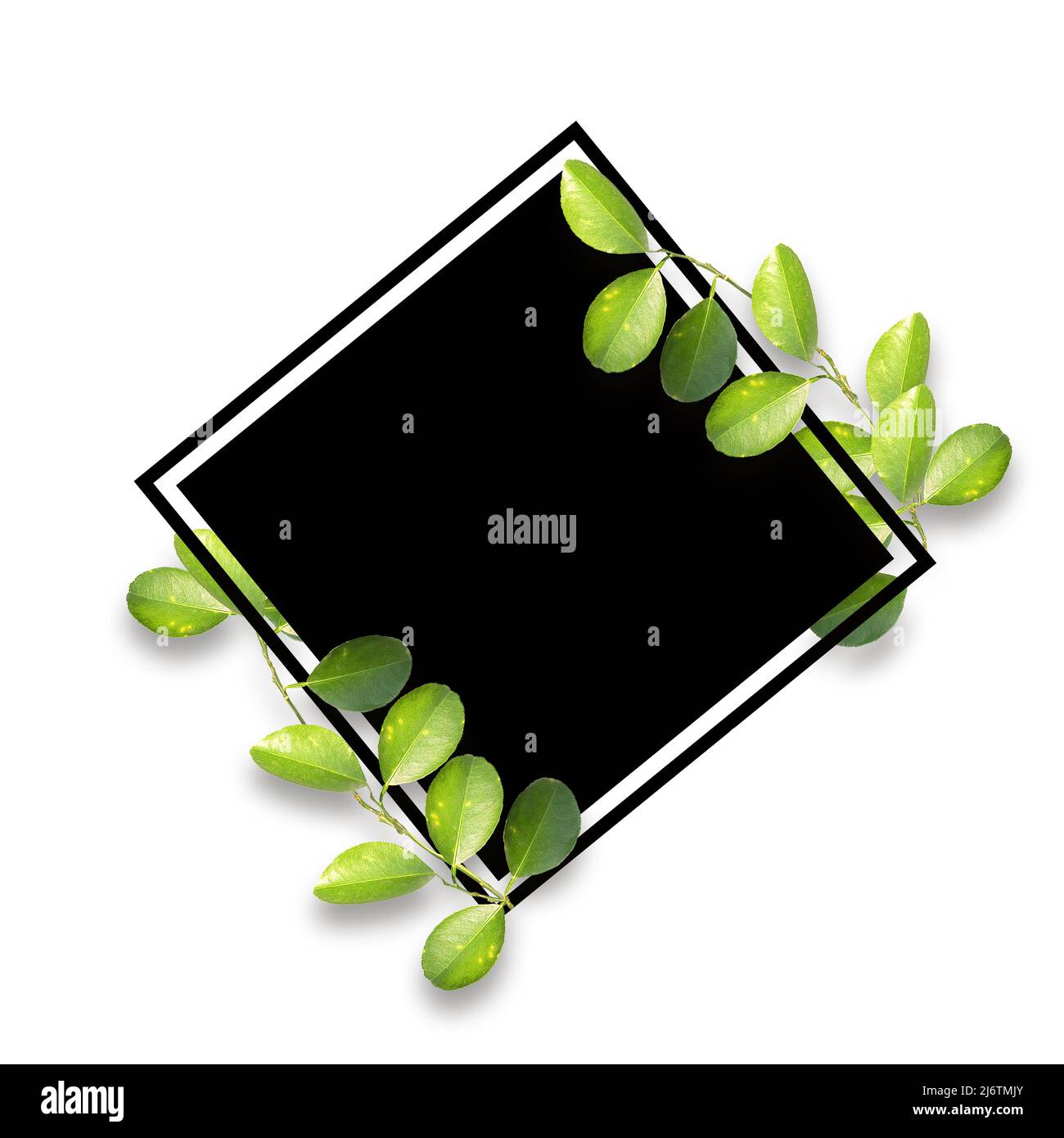 Beautiful tree leaves vector pattern Cut Out Stock Images & Pictures ...