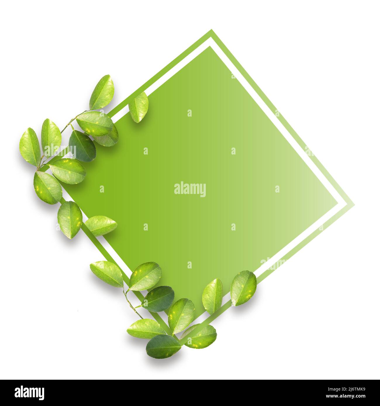 Beautiful tree leaves vector pattern Cut Out Stock Images & Pictures ...