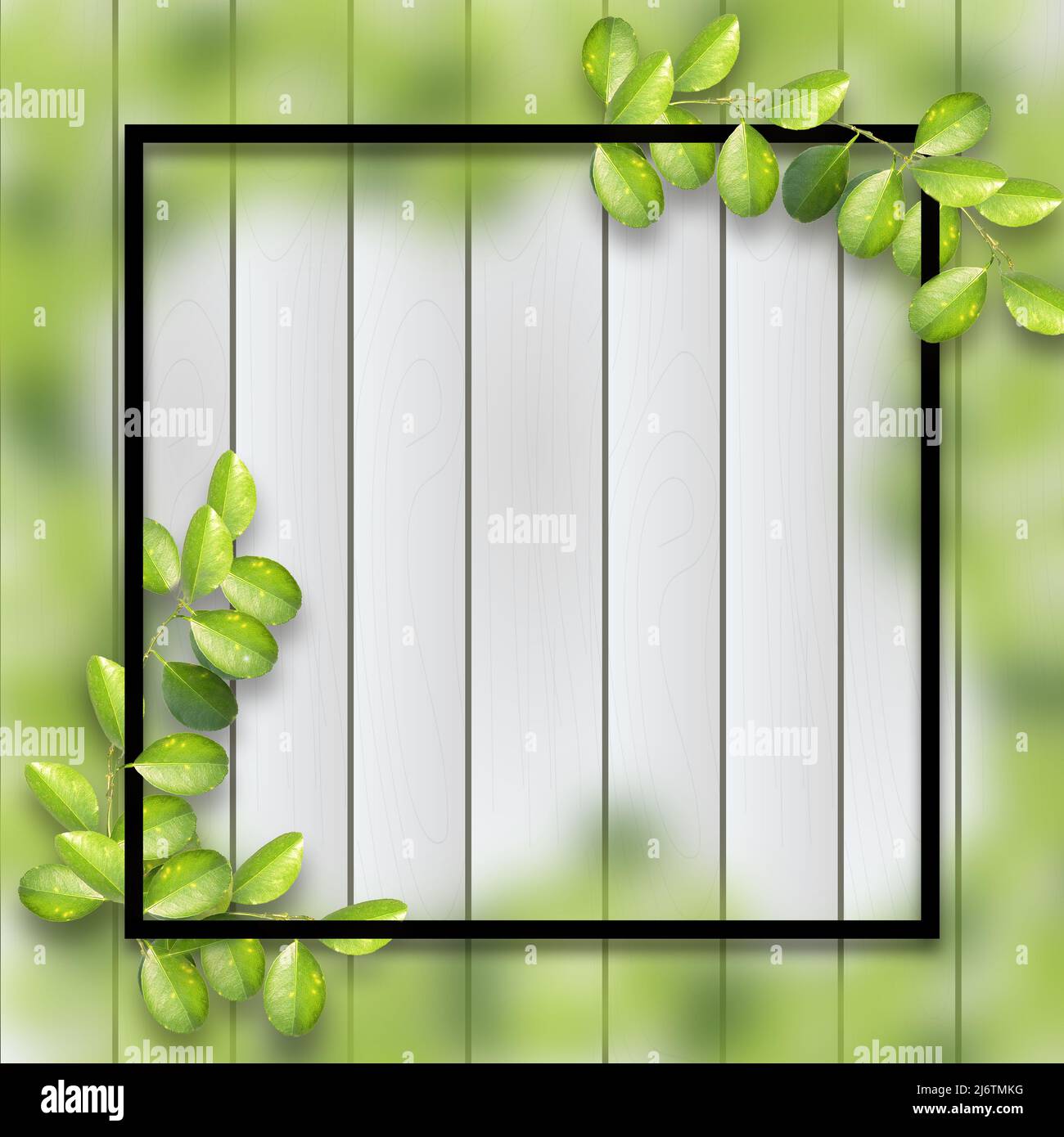 A mockup square frame with green leaves on a wooden background. Natural ...