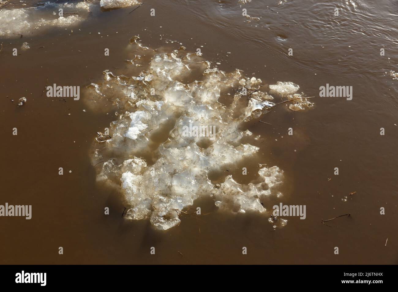 ice floe floating in the water. spring flood Stock Photo - Alamy