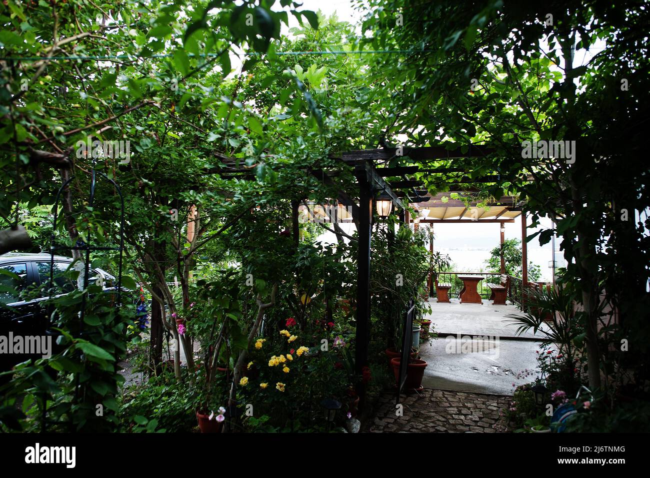 Terrace with greenery. View on sea Stock Photo - Alamy