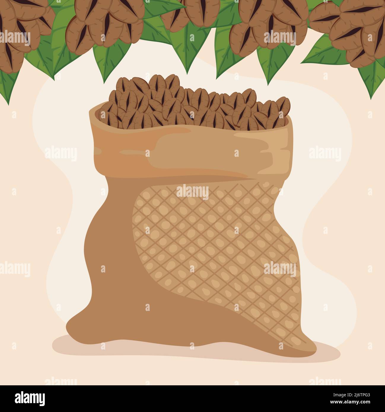 coffee sack grains Stock Vector Image & Art - Alamy