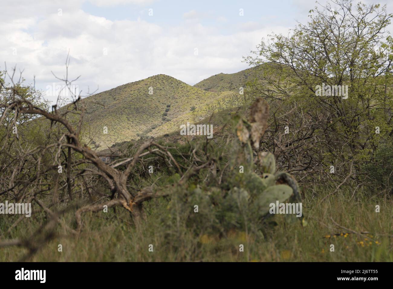 Landscape in the Almanzora Valley, Spain Stock Photo - Alamy