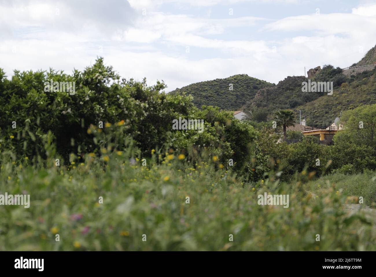Landscape in the Almanzora Valley, Spain Stock Photo - Alamy