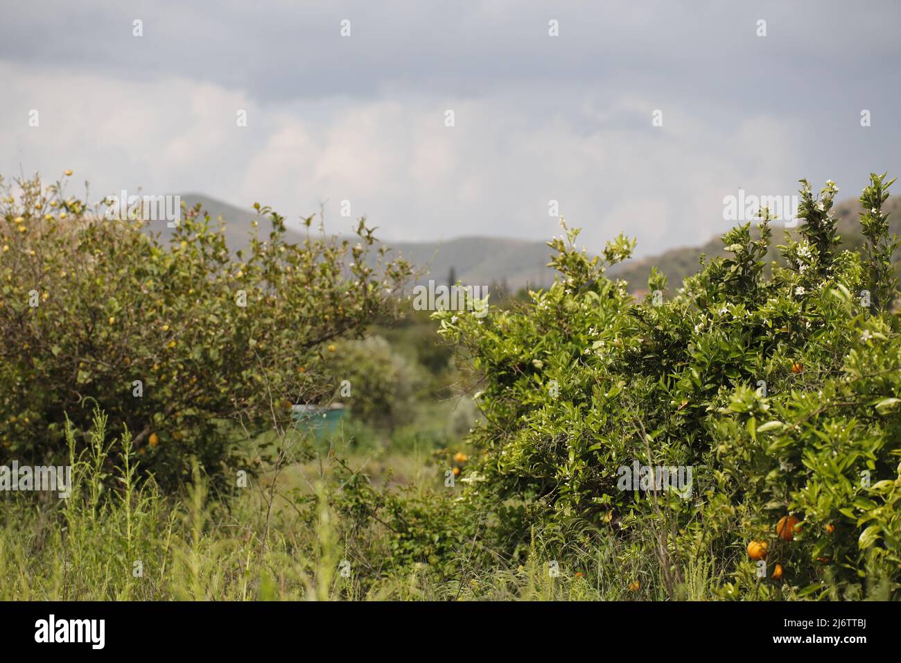 Landscape in the Almanzora Valley, Spain Stock Photo - Alamy