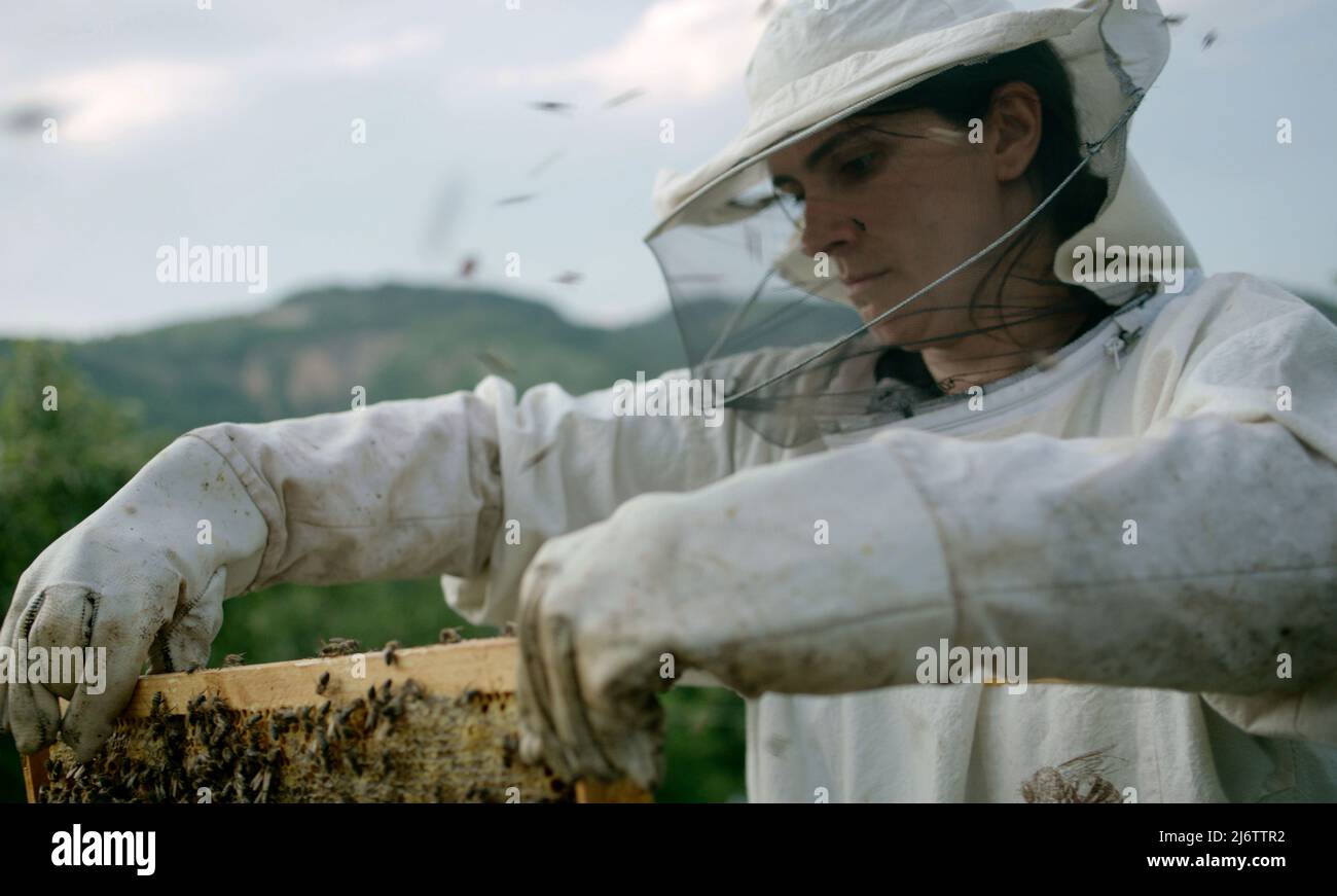 YLLKA GASHI in HIVE (2021), directed by BLERTA BASHOLLI. Credit: Ikone ...