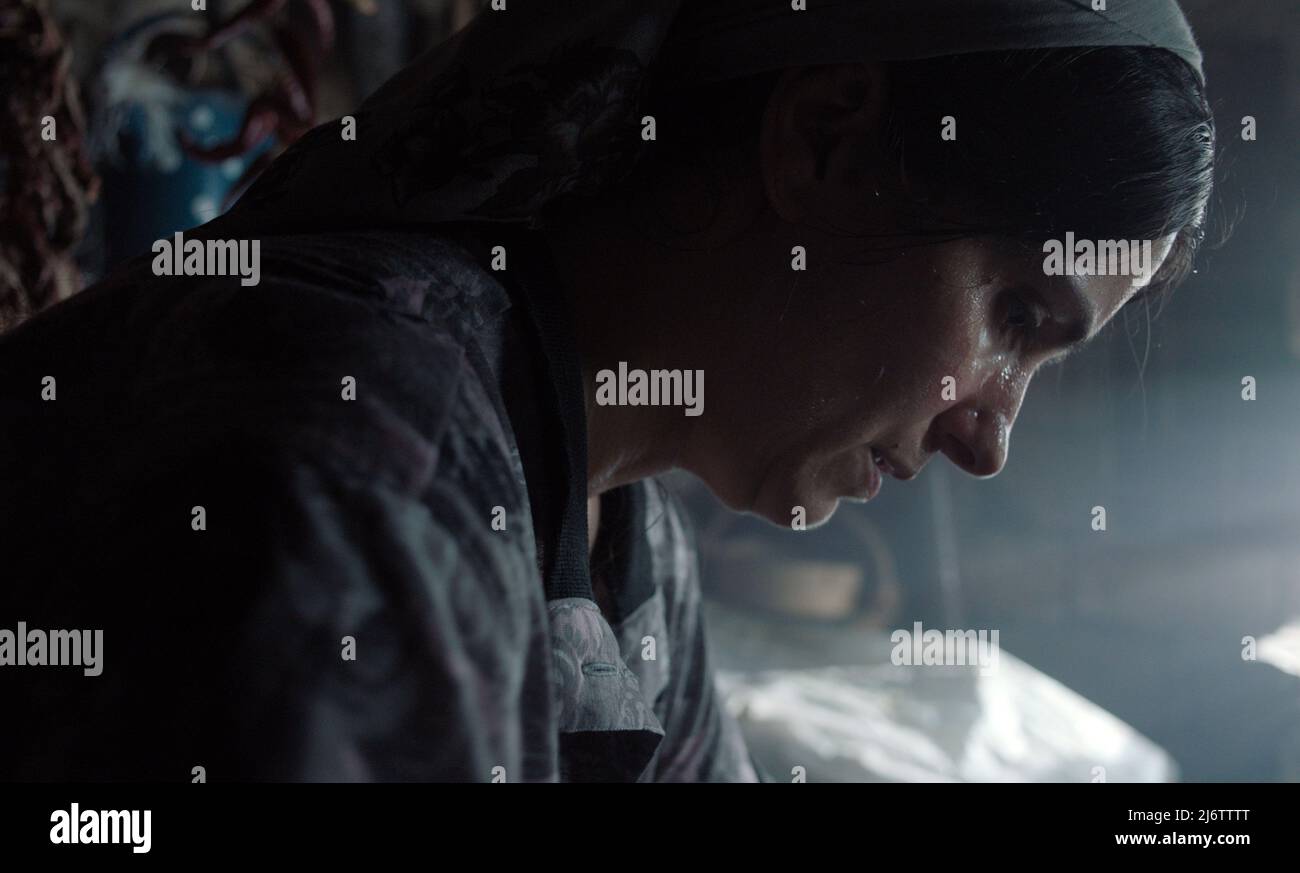 YLLKA GASHI in HIVE (2021), directed by BLERTA BASHOLLI. Credit: Ikone ...