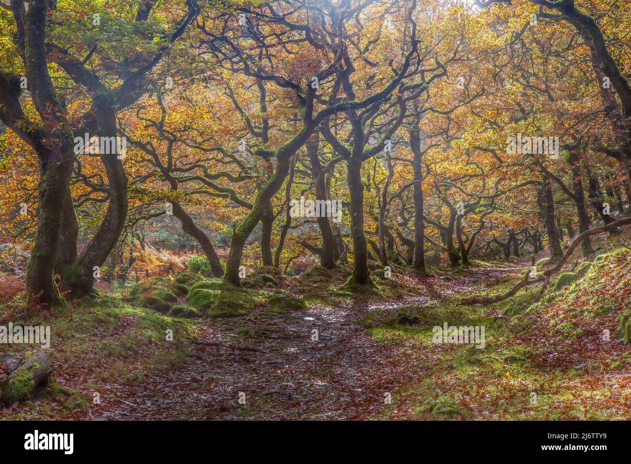 Doone valley exmoor hi-res stock photography and images - Alamy