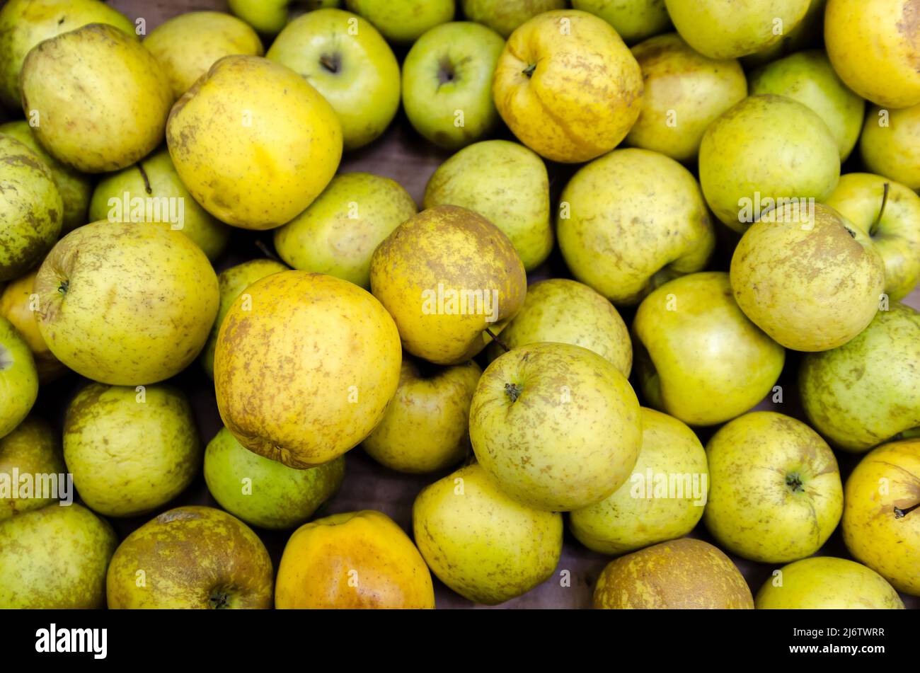 Fresh organic apples sold on market Stock Photo - Alamy