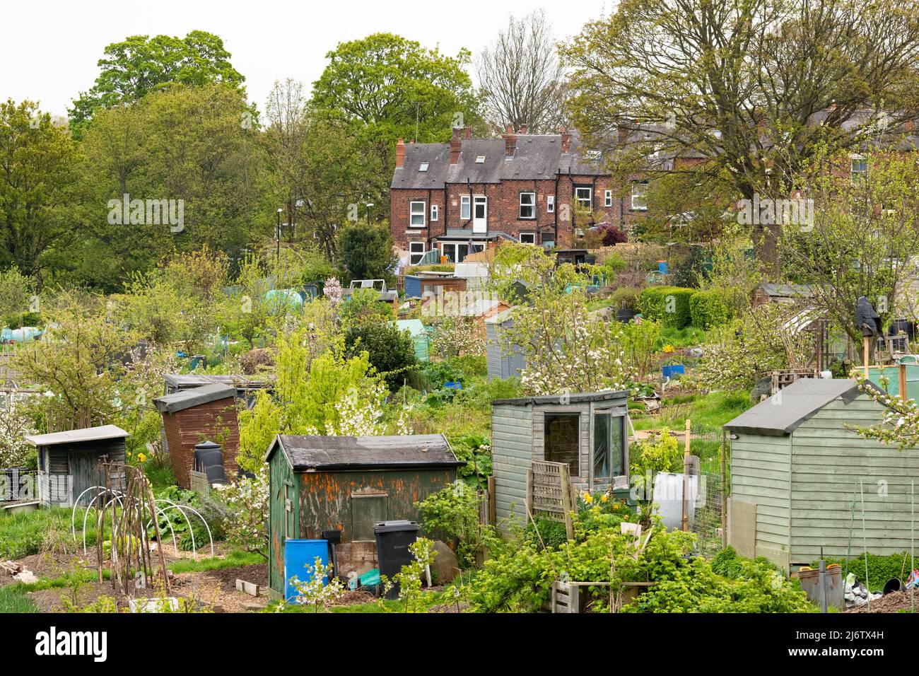 Chapel allerton, leeds hi-res stock photography and images - Alamy