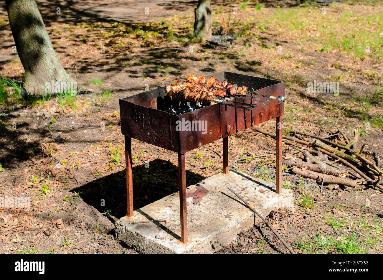 Barbecue in nature hi-res stock photography and images - Alamy