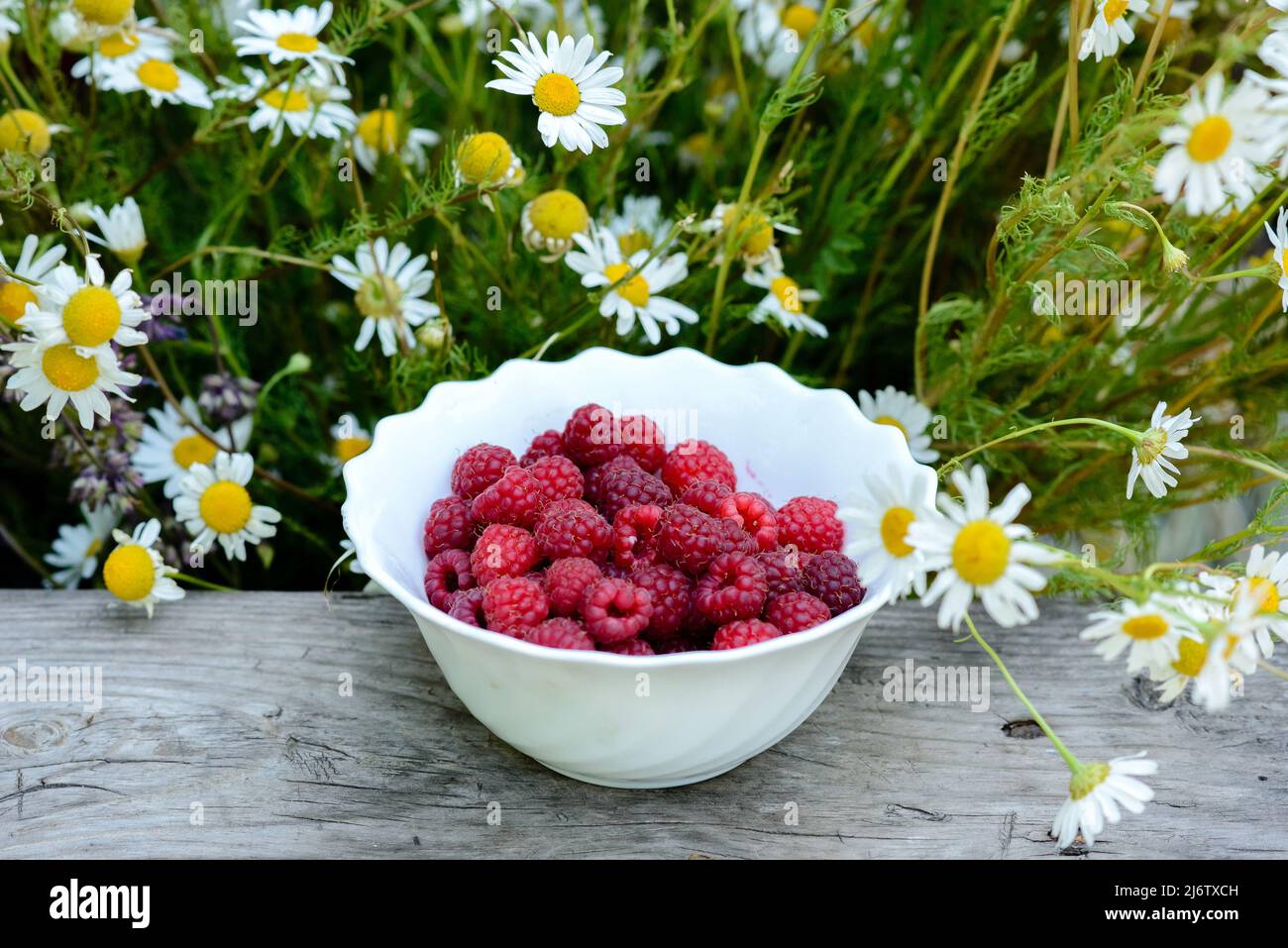 Still life of flowers, raspberries and tea Stock Photo - Alamy