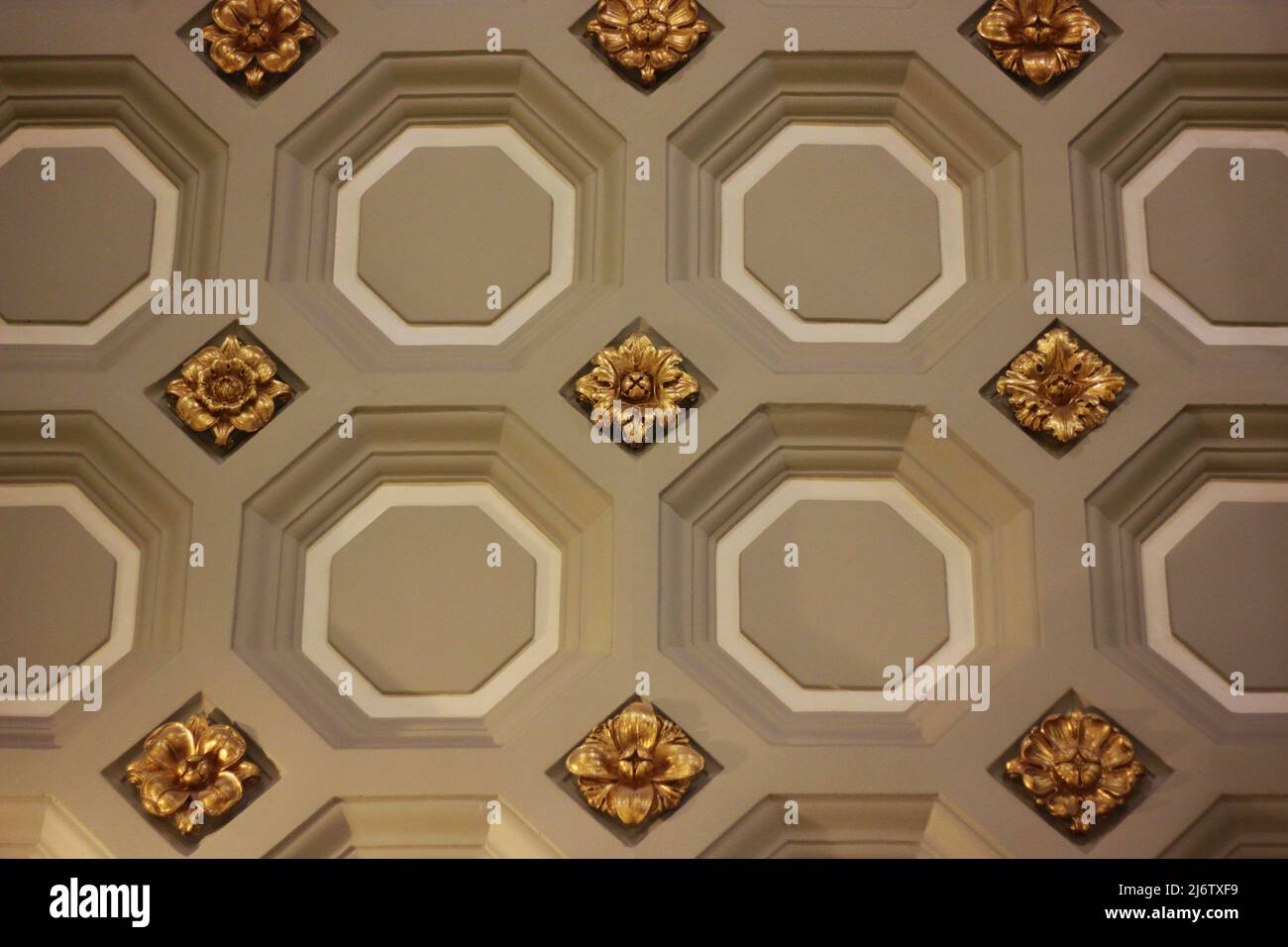 Beautiful ornate traditional colonial ceiling with gold medallions as ...