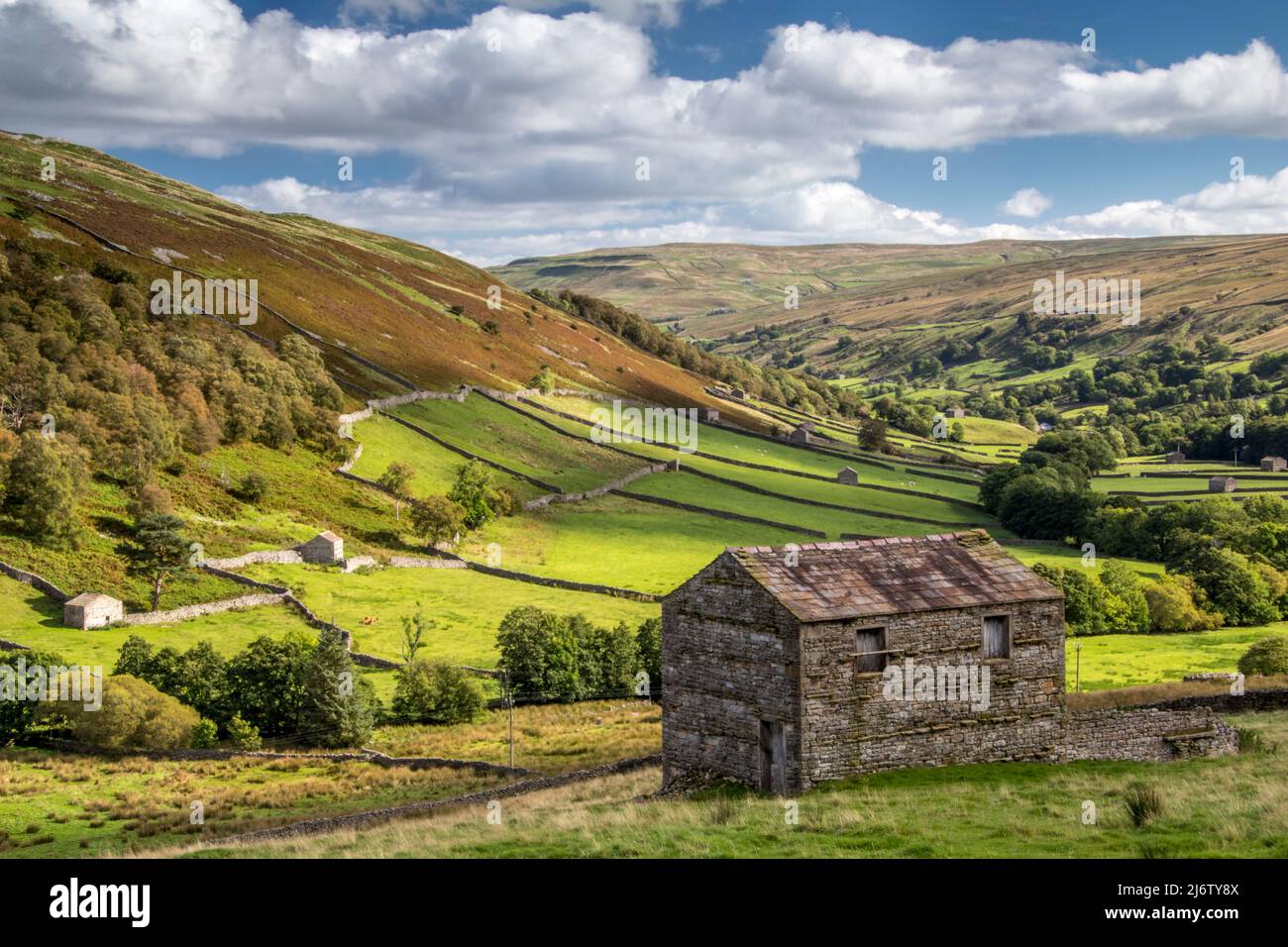 The beautiful valley of Swaledale in the Yorkshire Dales on a summers ...