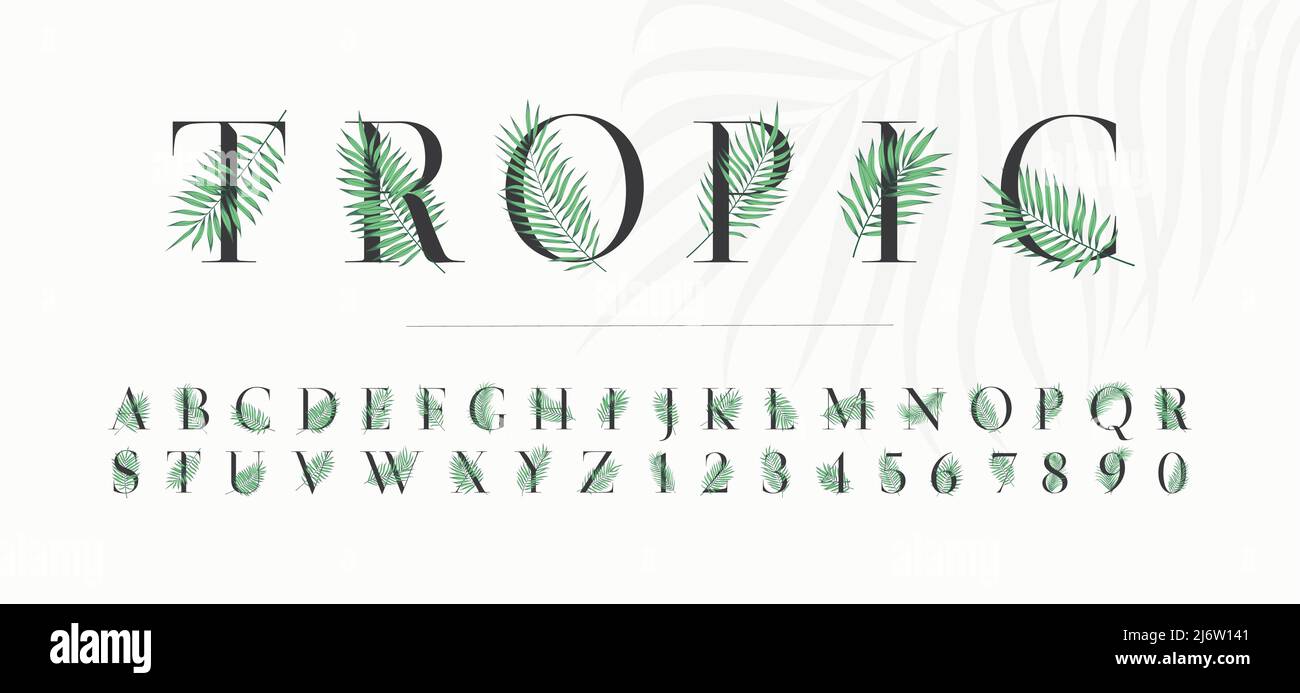 Tropical latin font with green leaves and branches of palm trees, decorative typeface letters ...