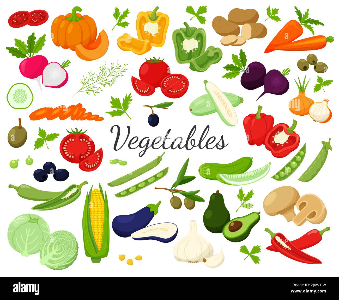 Corn cross section Stock Vector Images - Alamy