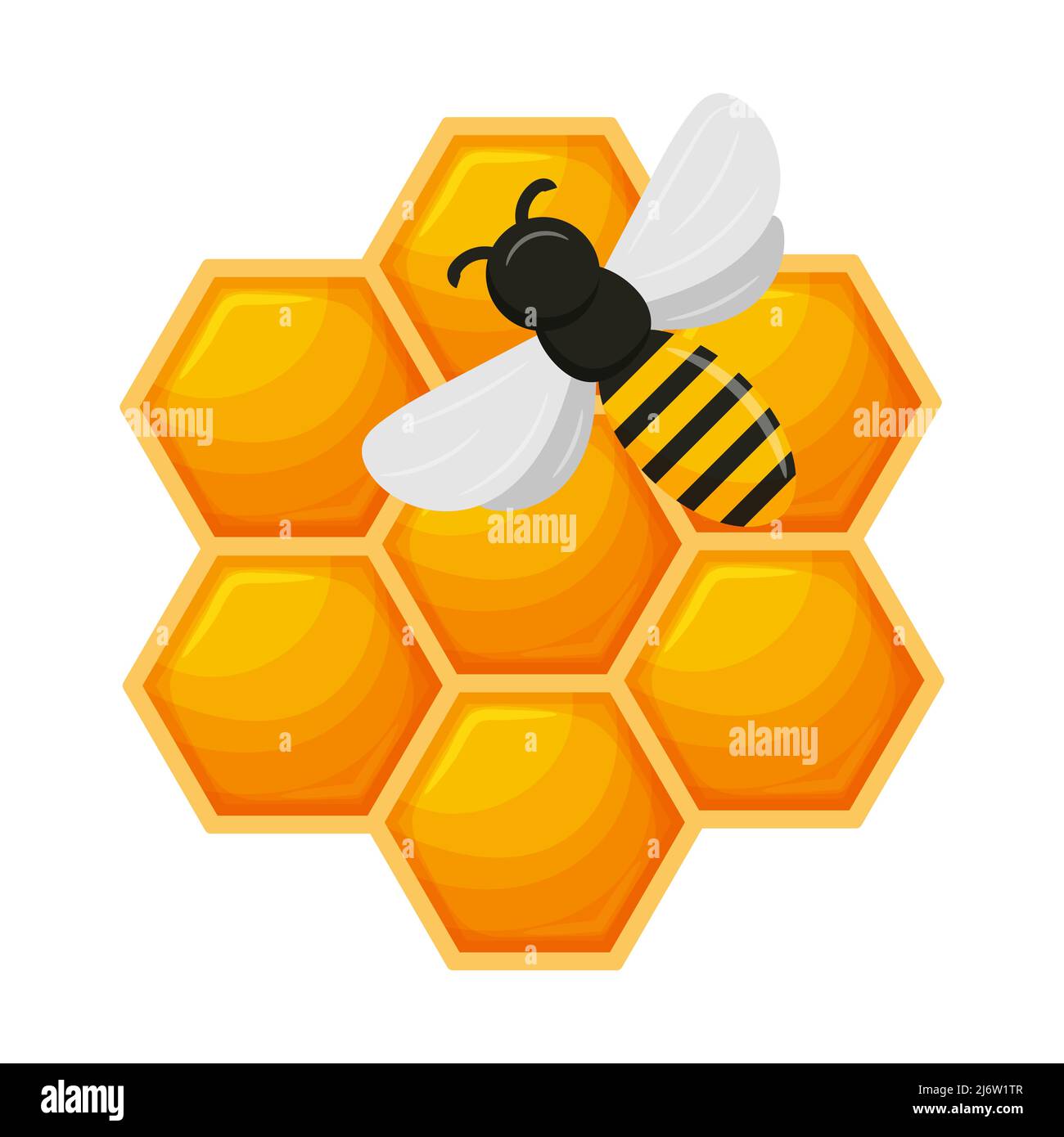 Bee combs with honey and bee. A natural organic beekeeping product ...