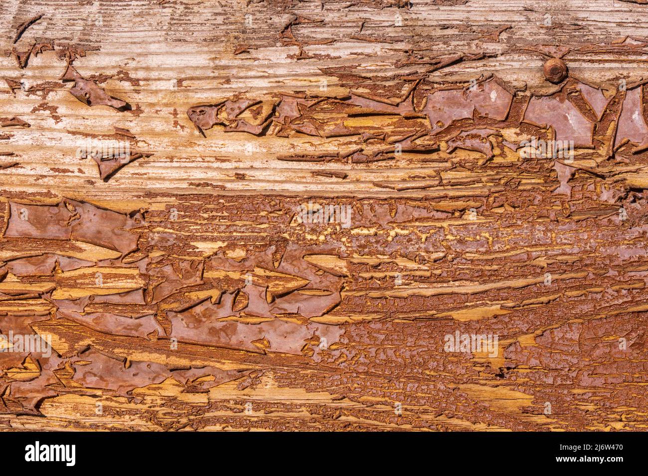 Wooden painted boards as an abstract background. Texture of old painted ...