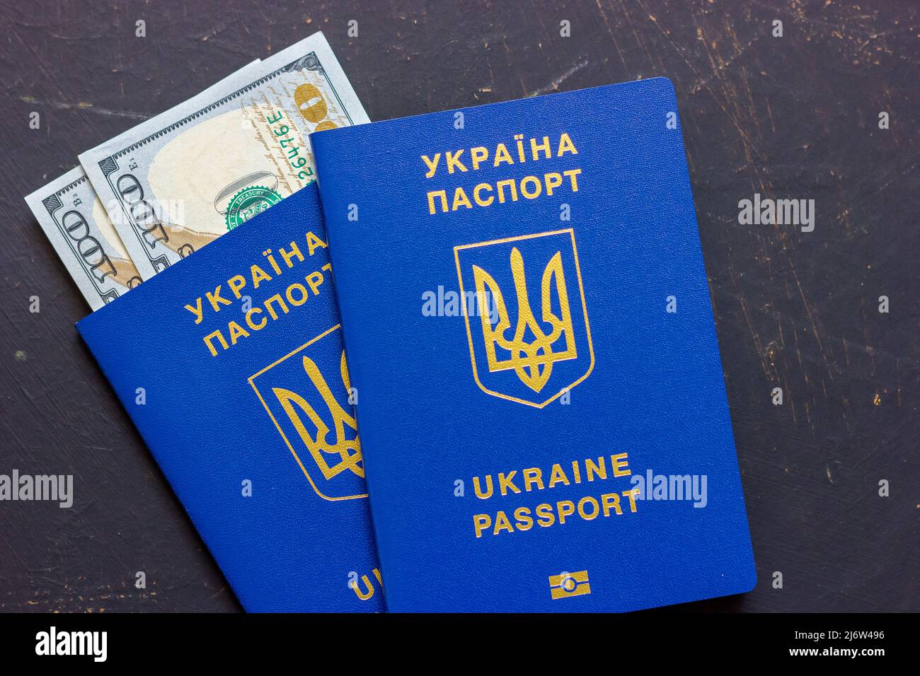Ukrainian passport for foreign trips. Biometric passport of Ukraine ...